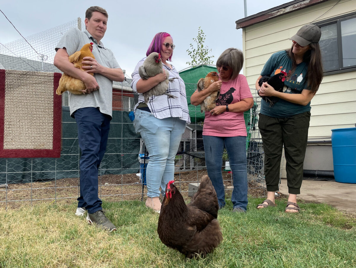 Washington Terrace chicken proponents to keep up fight for birds | News ...